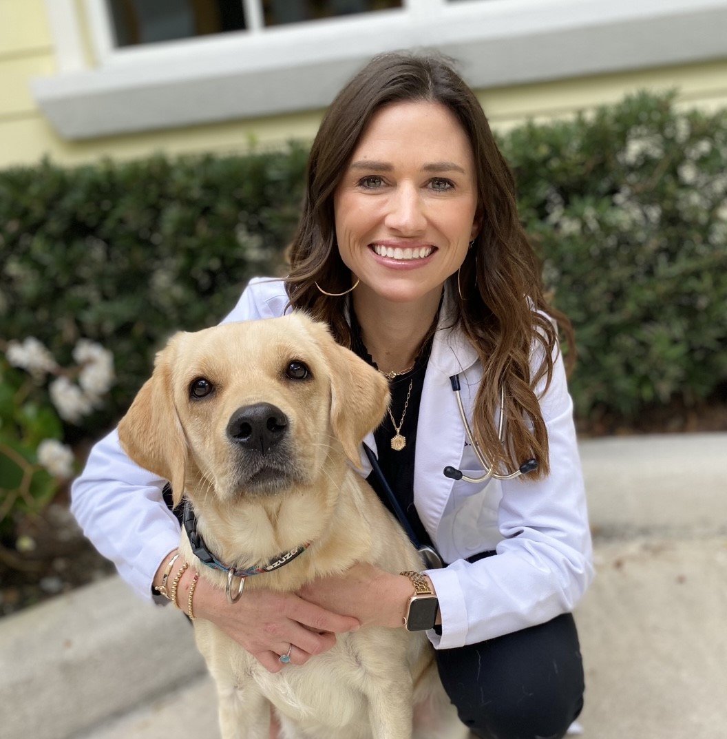 Join Our Clinic! Accepting New Clients at The Beach House Vet in 33469
